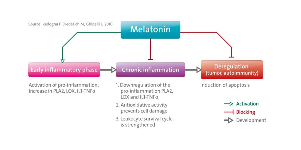 Melatonin: a pleiotropic molecule regulating inflammation. – Melatonin ...